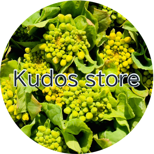 Kudos store