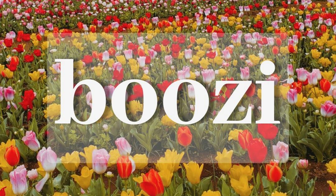 boozi