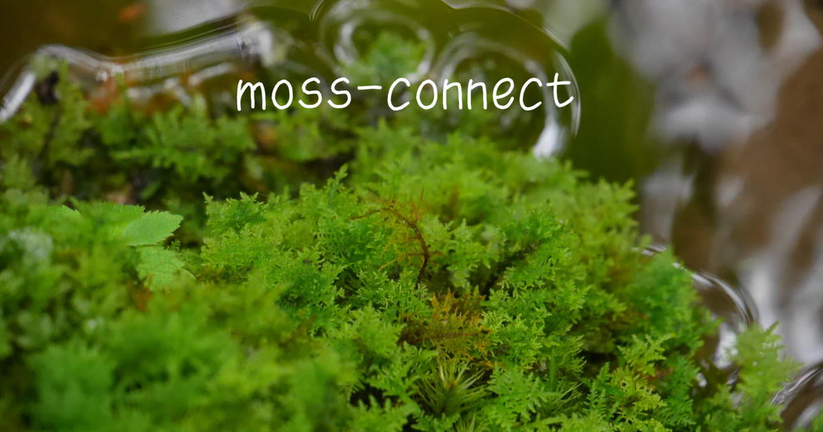 CATEGORY 用土 | moss-connect