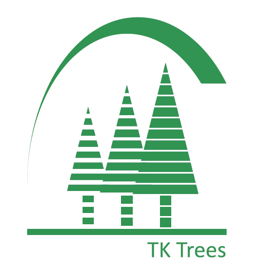 TK Trees
